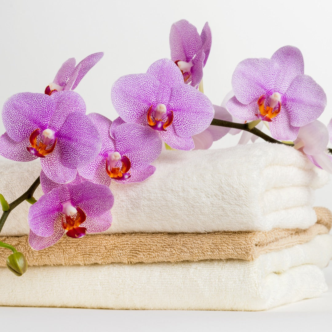 Bathroom – Valsan Inc